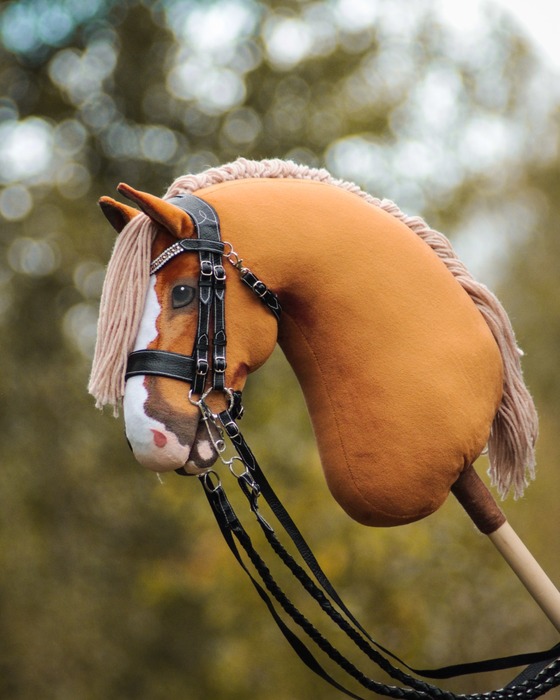 Hapsis :: Keppihevostalli Foresta